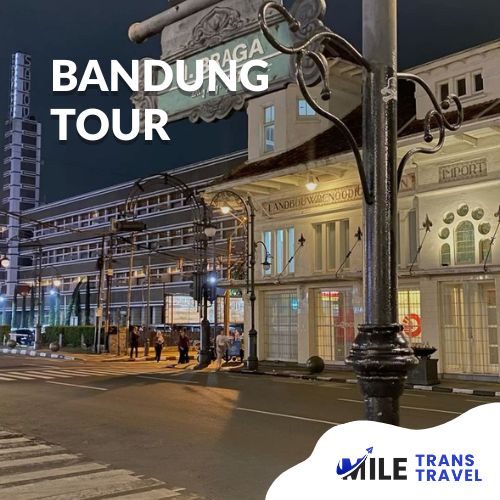 Home - Mile Trans Travel
