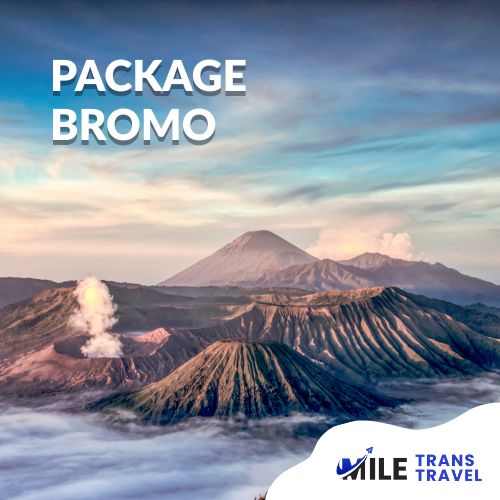 Home - Mile Trans Travel